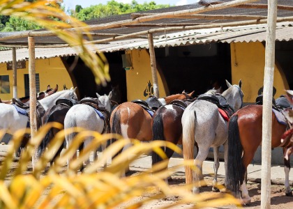 Fotos - Haras Paraíso - Comitiva Chama na Bota - 02.2025 - Fotto